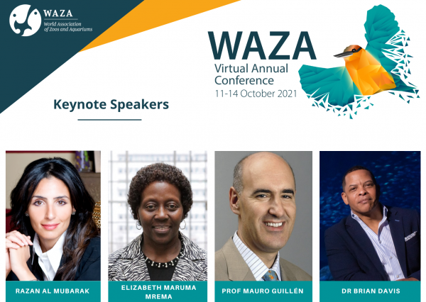 Latest News - WAZA