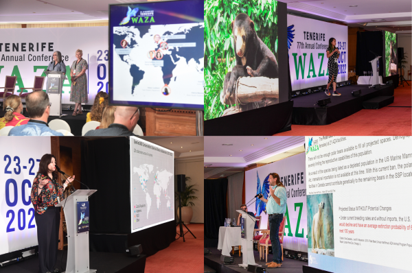 Recap of the 77th WAZA Annual Conference - WAZA