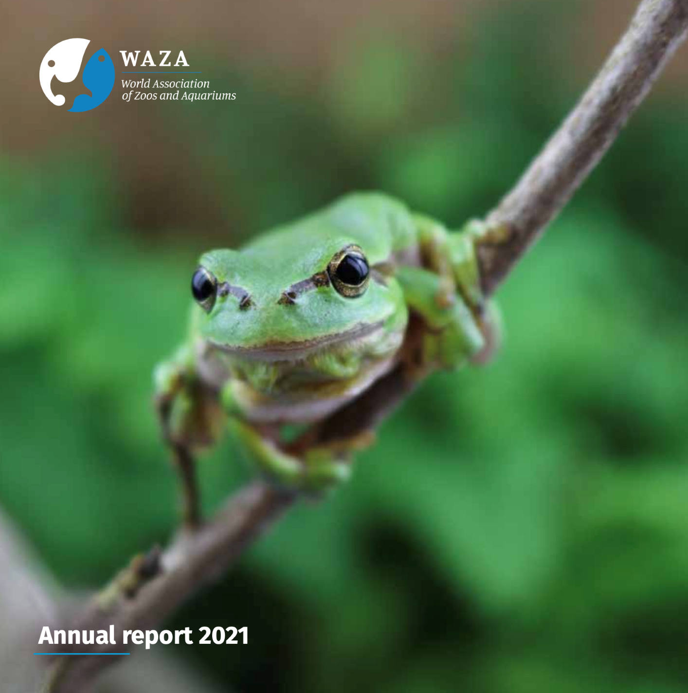 Publications - WAZA