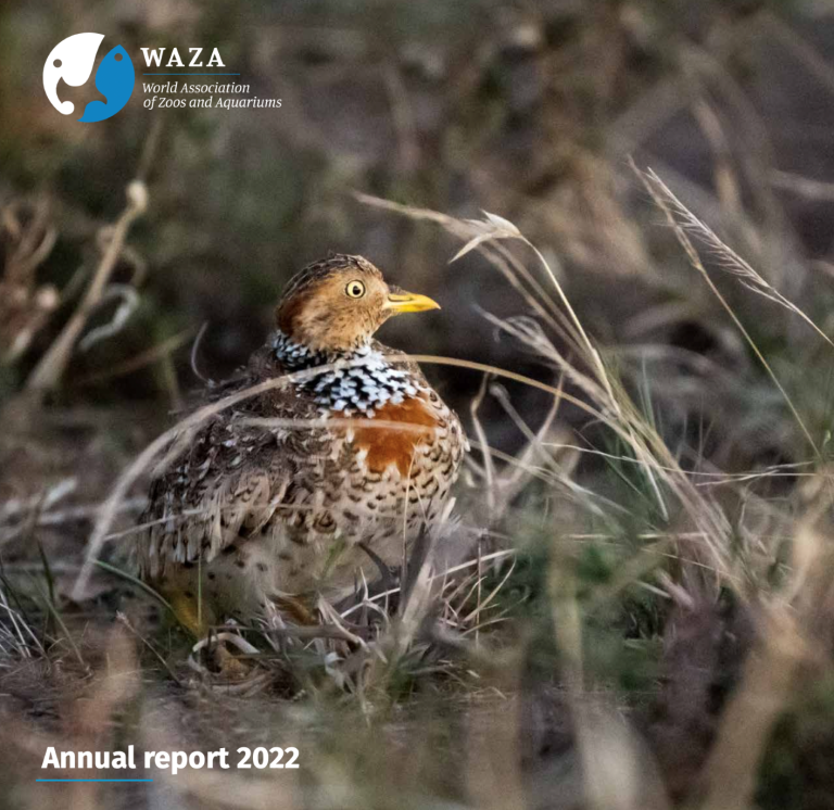 Publications - WAZA