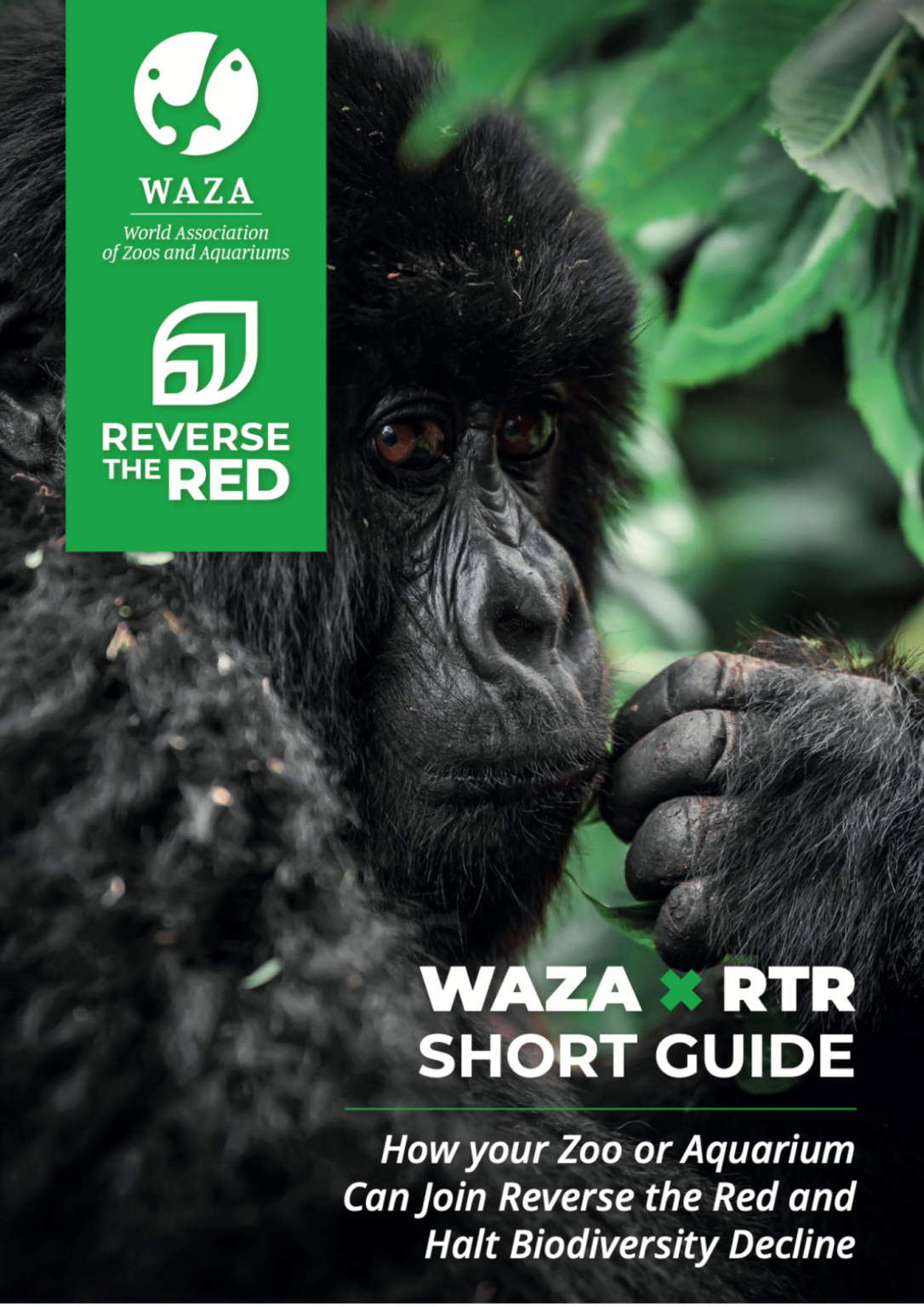 Publications - WAZA