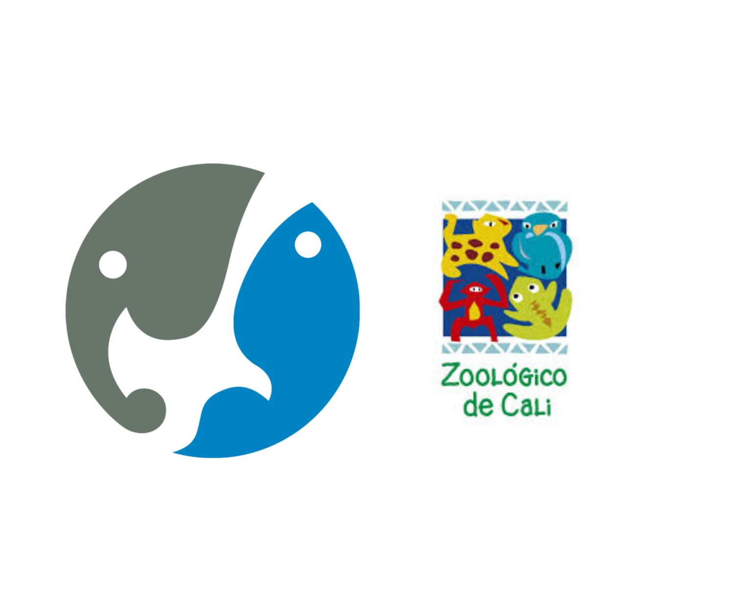 Latest News - WAZA